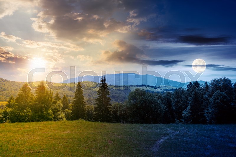 Night Time Nature Scene