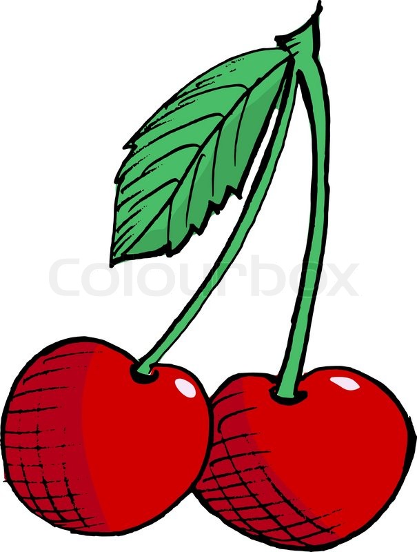 Kirsche | Stock-Vektor | Colourbox