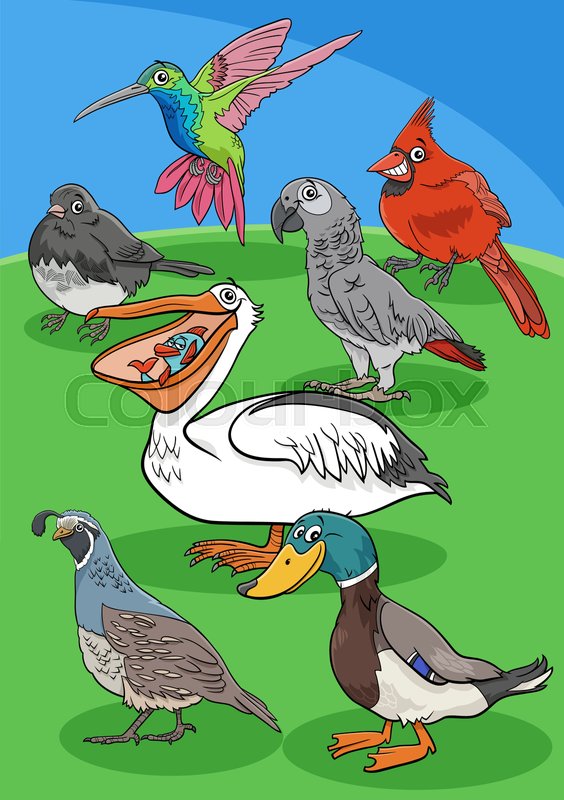 Bird Cartoon Characters Names