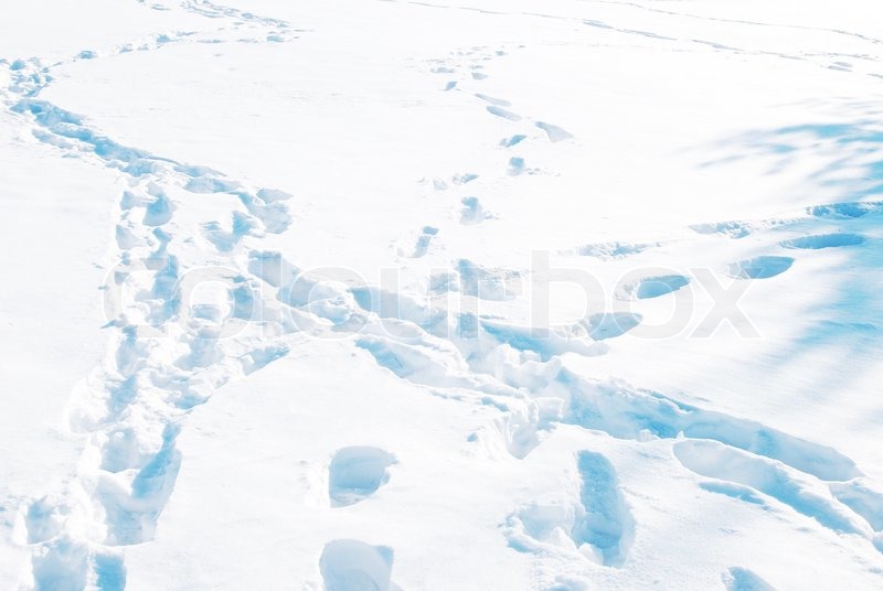 "snow" | Stock image | Colourbox