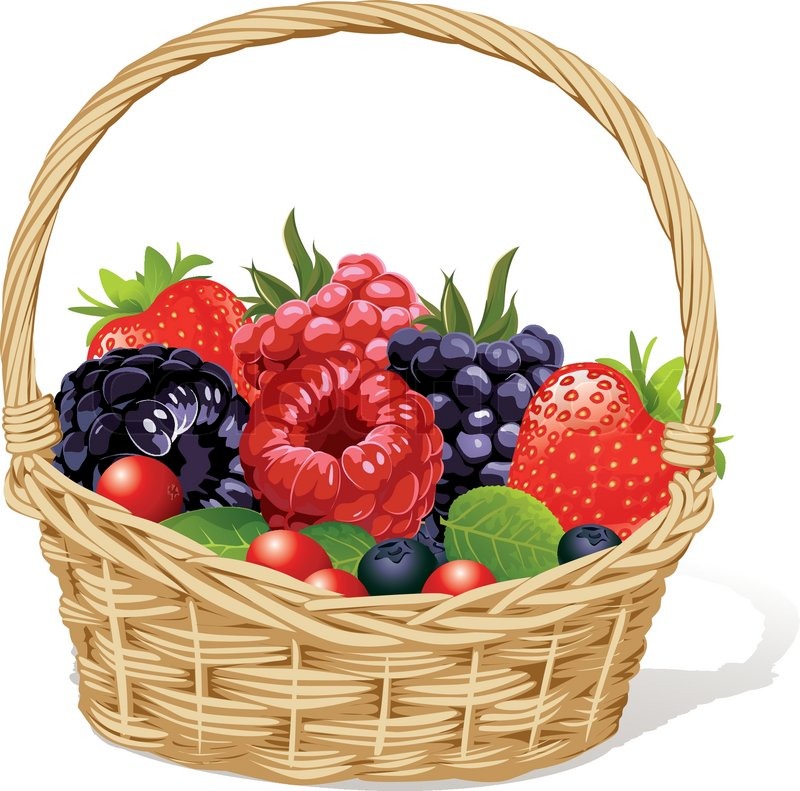 Kurv med bær | Stock vektor | Colourbox
