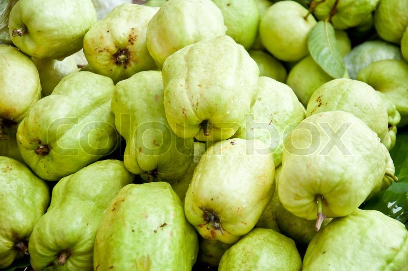 Fresh green guava | Stock image | Colourbox
