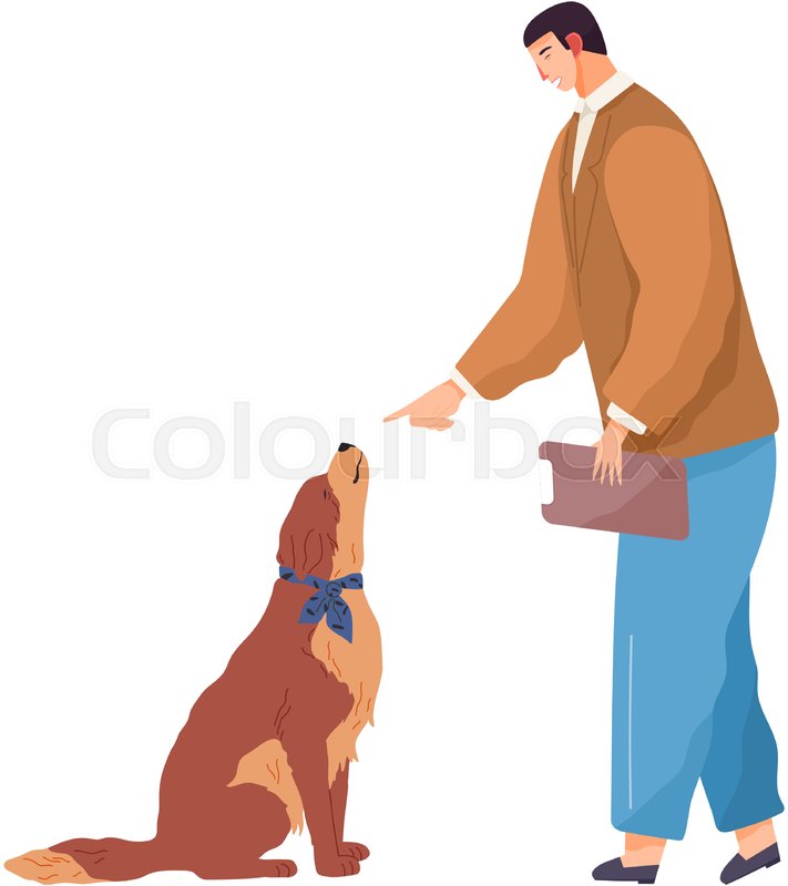 Dog Following Owner
