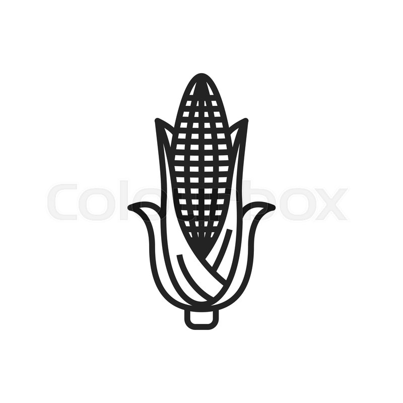 Corn On The Cob Black And White