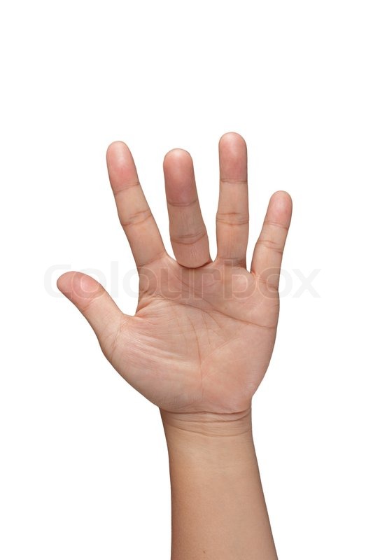 Open hånd viser alle fem fingre | Stock foto | Colourbox