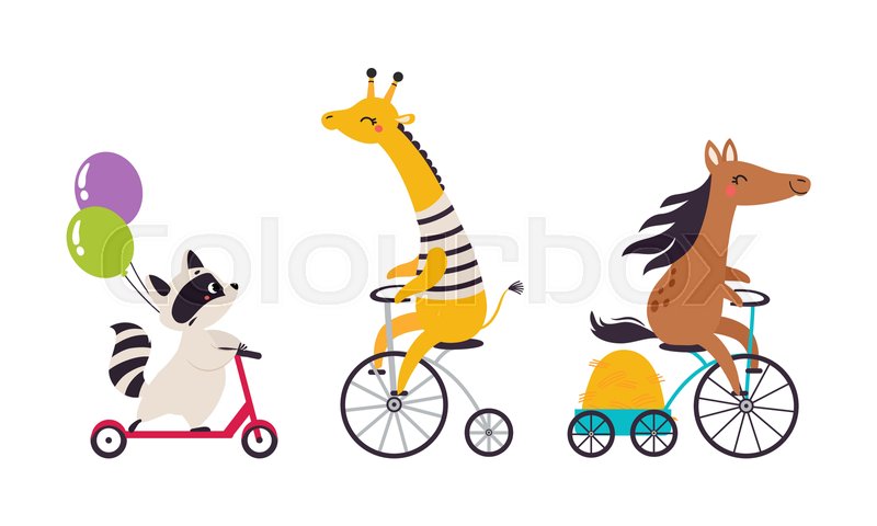 Giraffe Riding A Bike