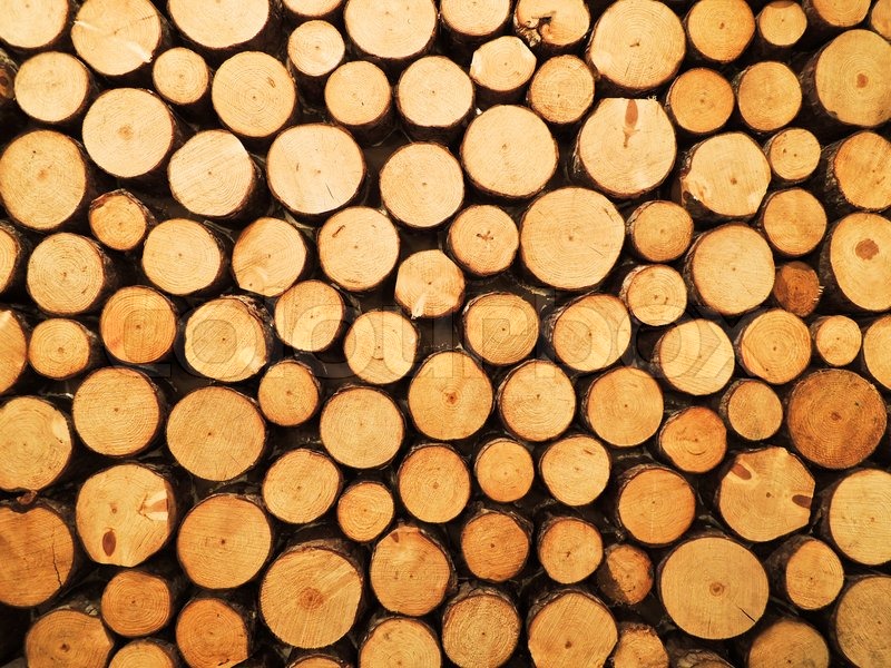 Wall of wood stump | Stock image | Colourbox