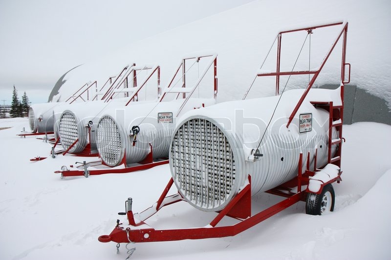 Sharp bear trap, isolated on white ... | Stock image | Colourbox