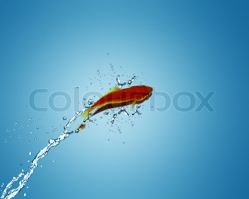 Goldene Fische springen aus dem Wasser | Stock Bild | Colourbox