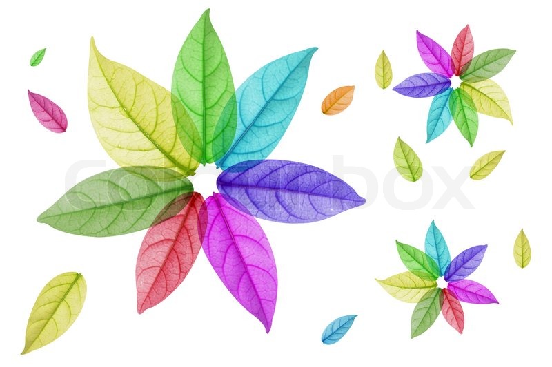 Design of Colorful leaf in white ... | Stock Photo | Colourbox