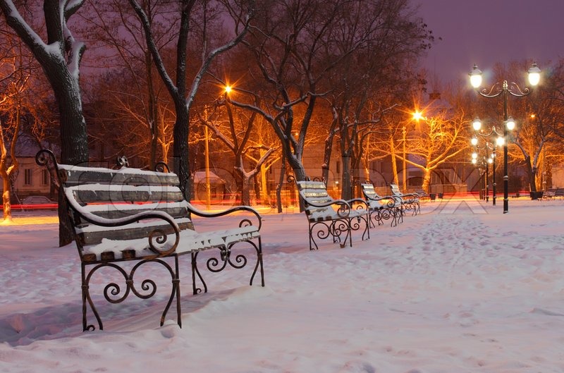 Row of benches in park at winter ... | Stock image | Colourbox