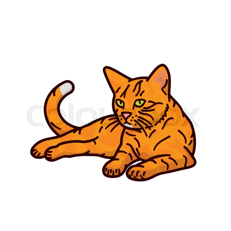 Cat Outline Vector