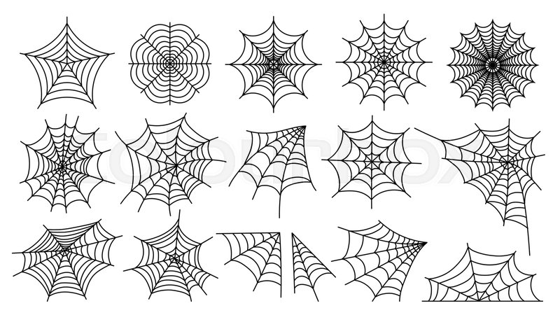 Simple Spider Web Design