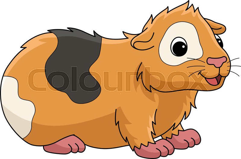 Skinny Pig Clip Art