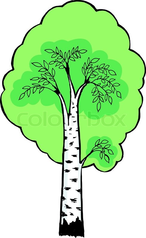 Cartoon Birke | Stock-Vektor | Colourbox