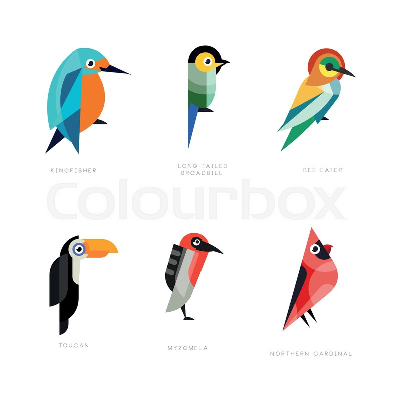 Northern Birds Colorful