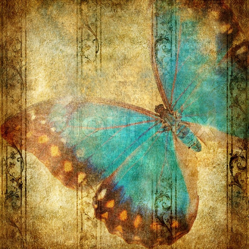 Grunge background with butterfly | Stock image | Colourbox