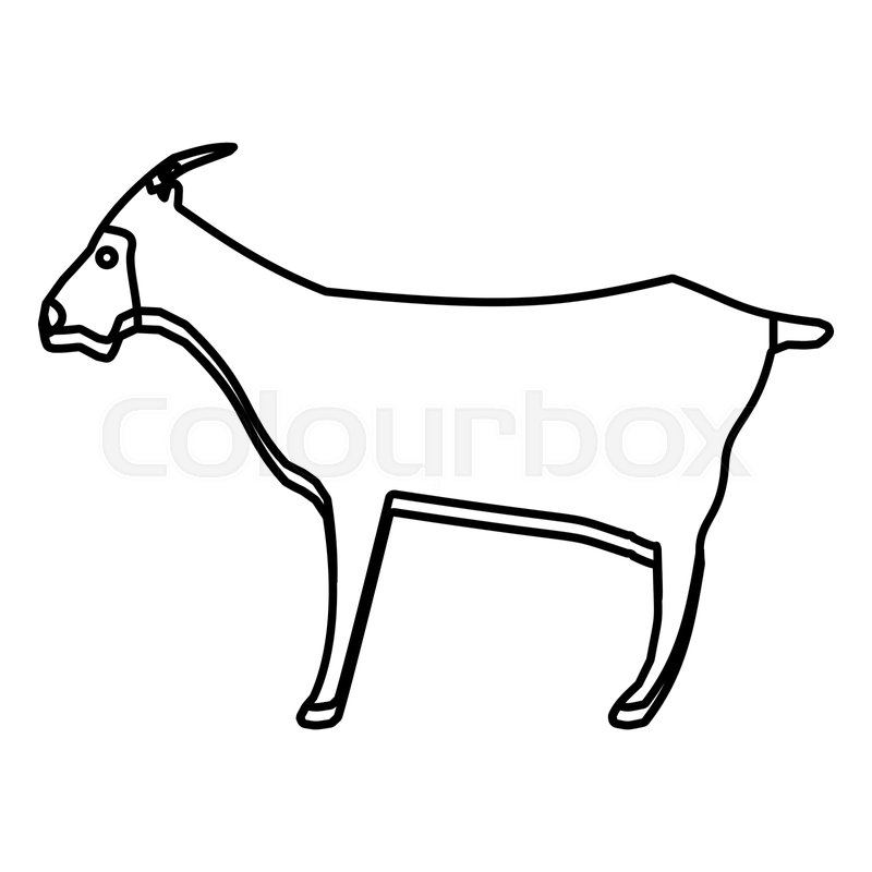 Show Goat Outline