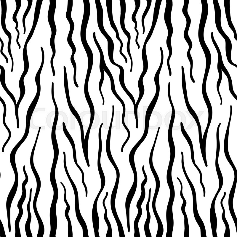 Zebra Stripes Vector