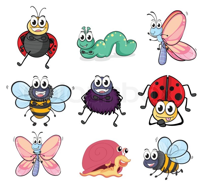 Various insects and animals | Stock vector | Colourbox