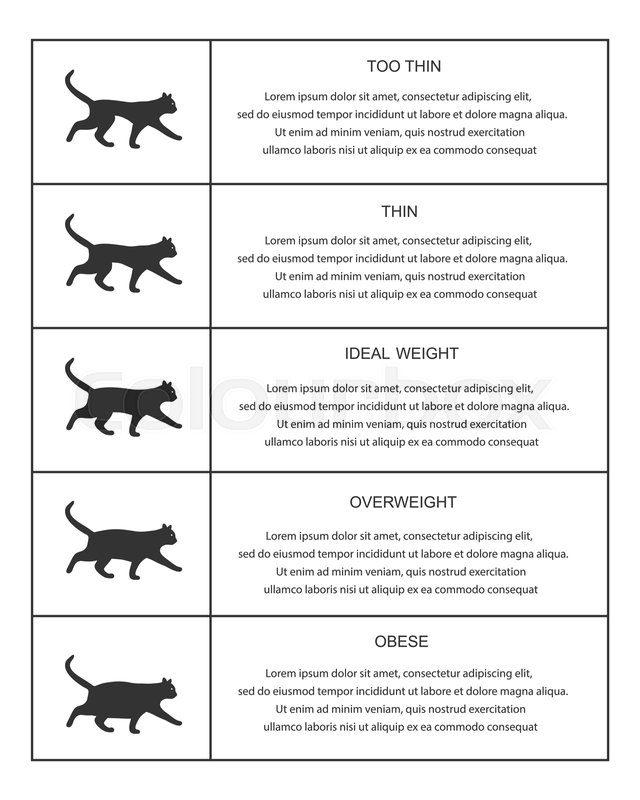 Domestic Cat Weight Chart