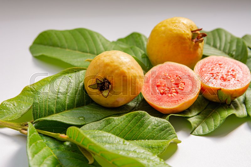 Ripe Guava Fruit