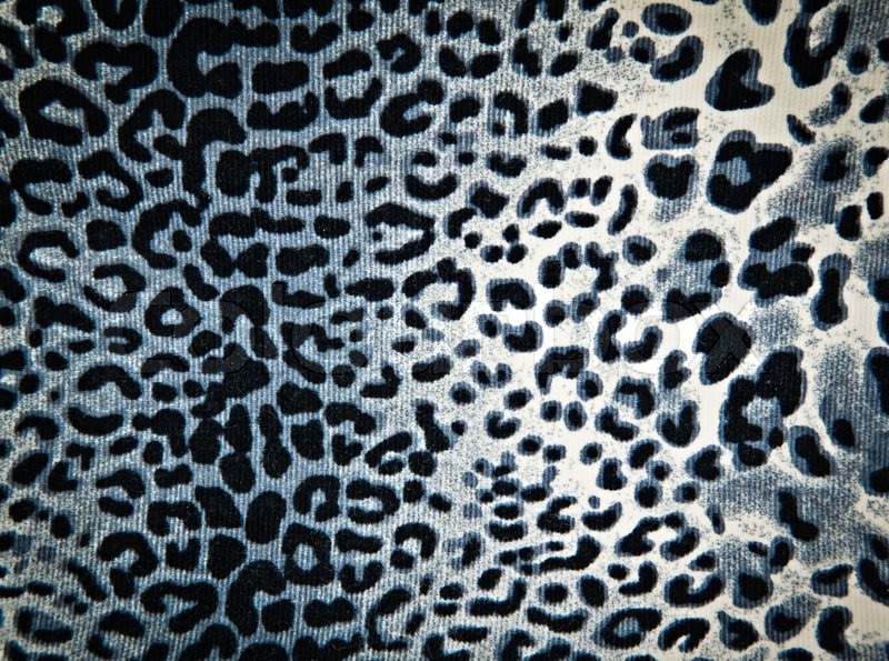 Leopard or jaguar pattern background | Stock image | Colourbox