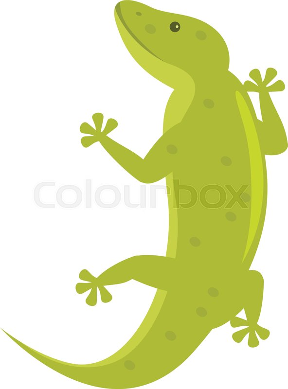 Green Gecko Cartoon