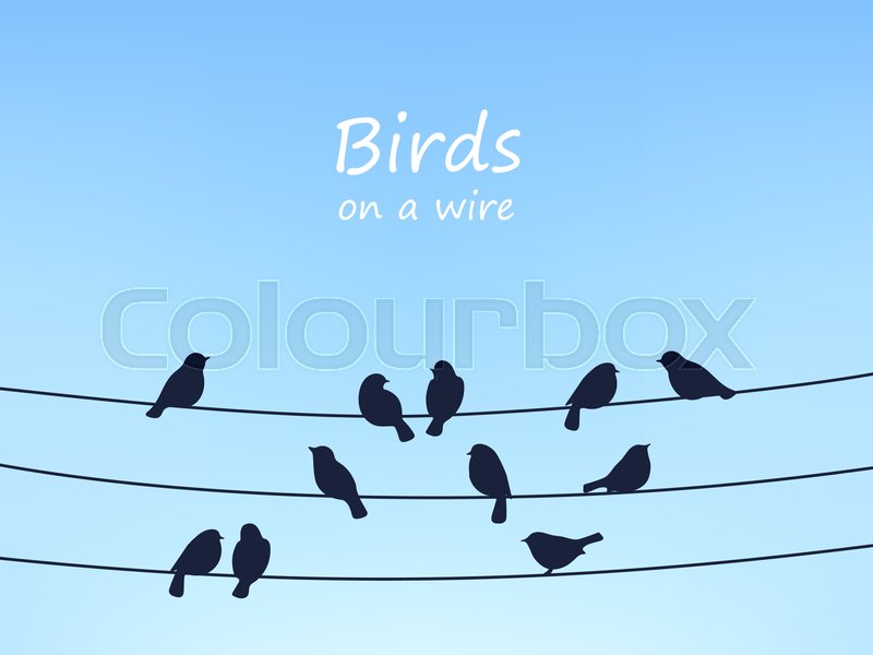 Birds Wire Vector