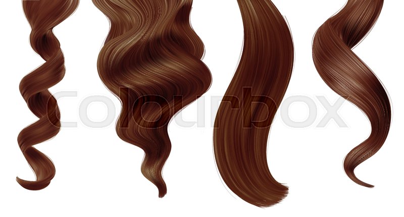 Hair Strand Vector