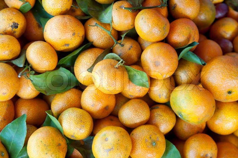 Appelsiner | Stock foto | Colourbox