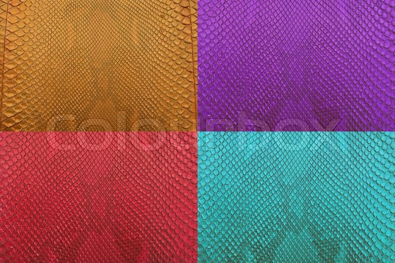 Set of Colorful python snake skin ... | Stock image | Colourbox