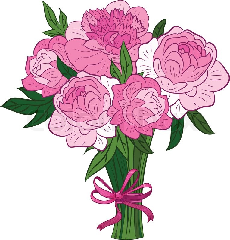 Bouquet of pink peonies | Stock vector | Colourbox