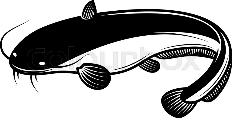 Catfish Vector Art