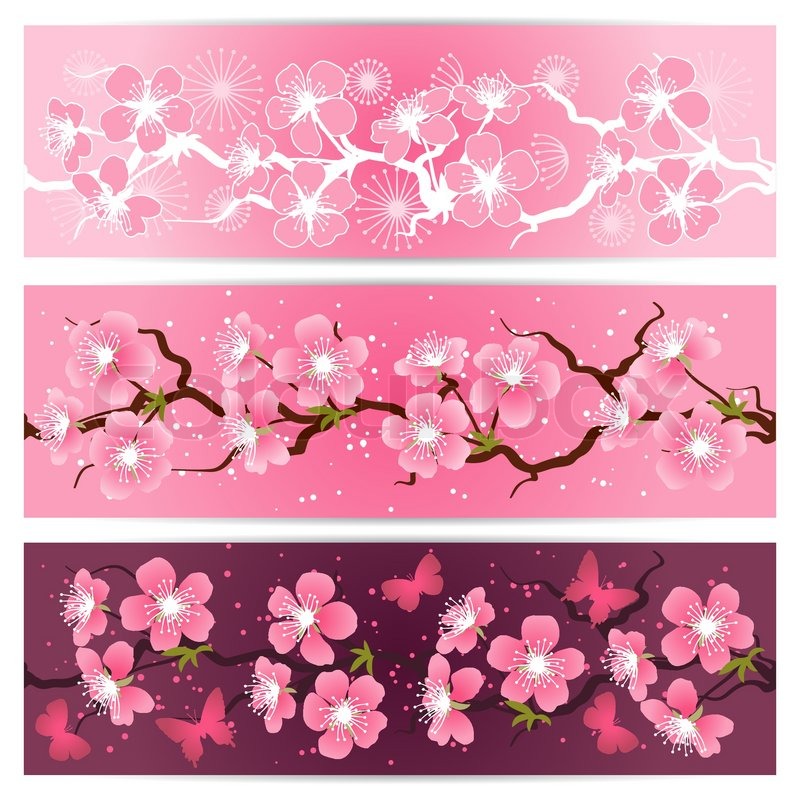 Cherry blossom flowers banner set | Stock vector | Colourbox