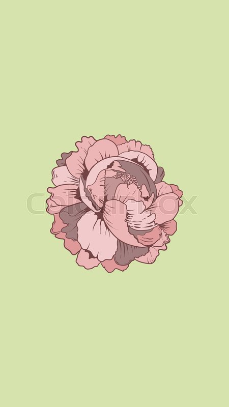 Vintage Rose Wallpaper Vector