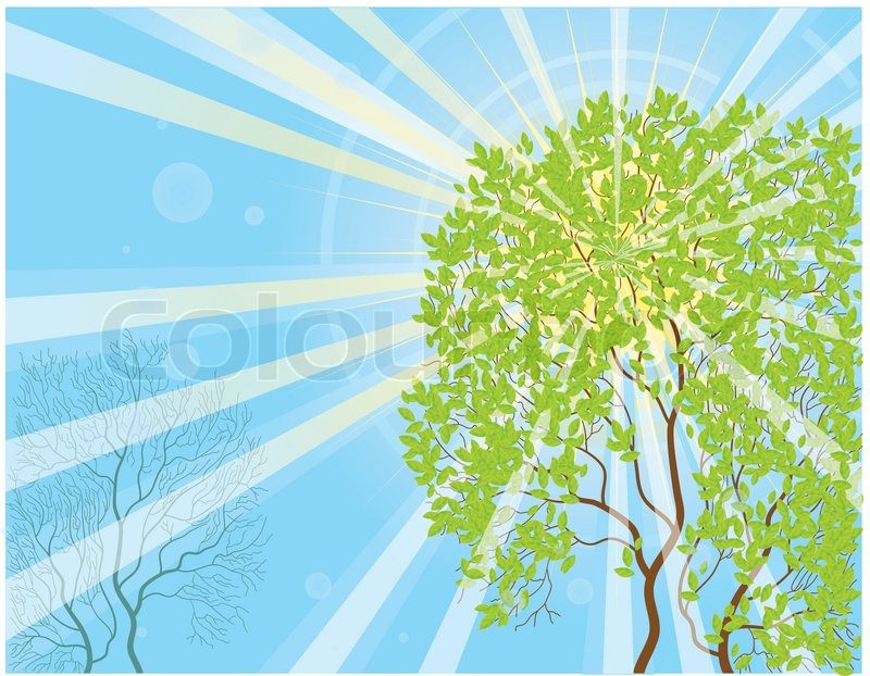 Sun rays and tree | Stock vector | Colourbox