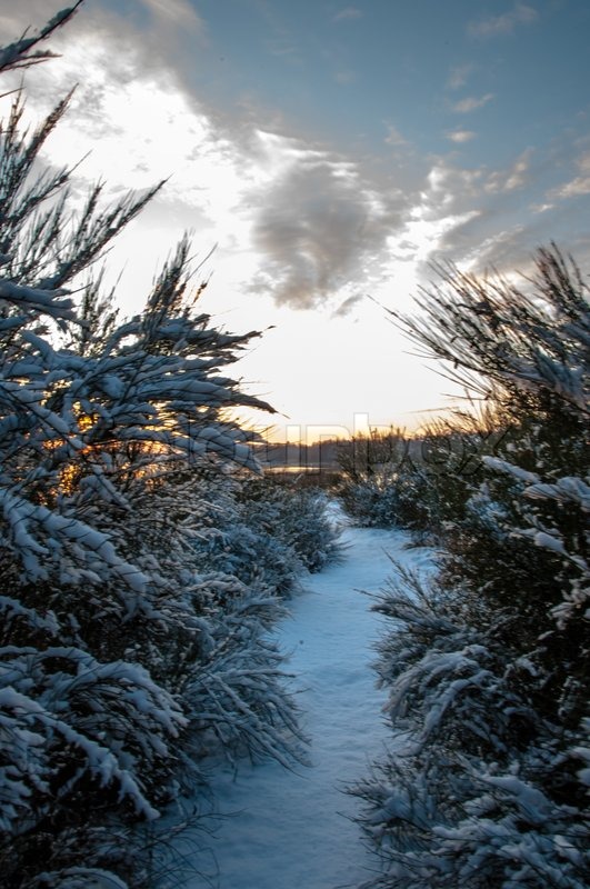 Vinter | Stock image | Colourbox