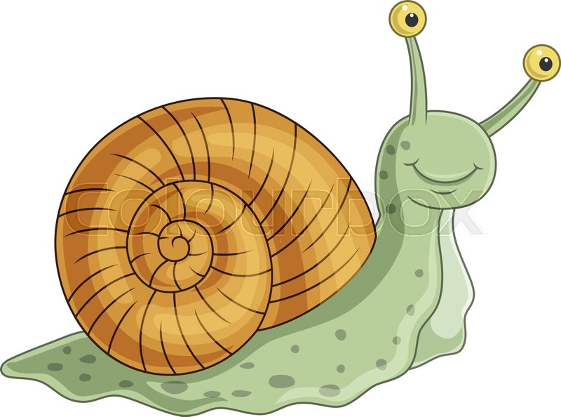 Cartoon Snail