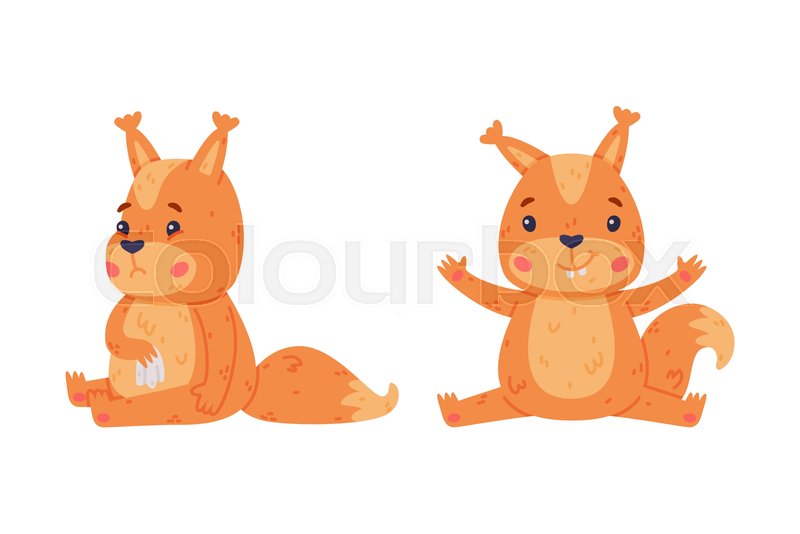 Sad Squirrel Clip Art