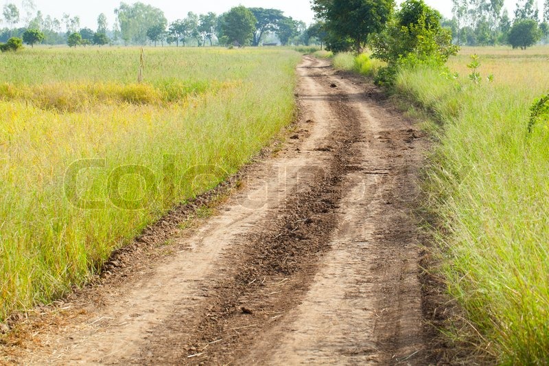 Tropical Clay Road | Stock image | Colourbox