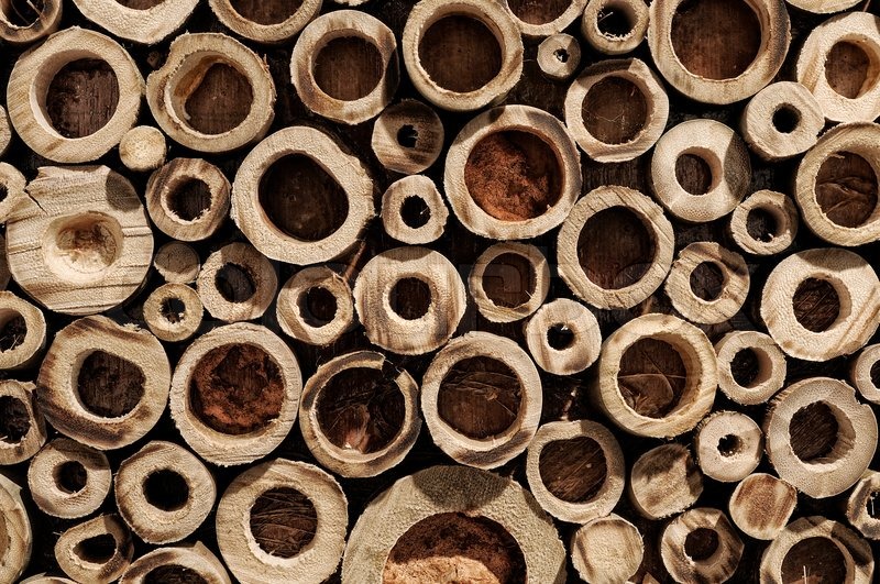 Abstract bamboo slice | Stock image | Colourbox