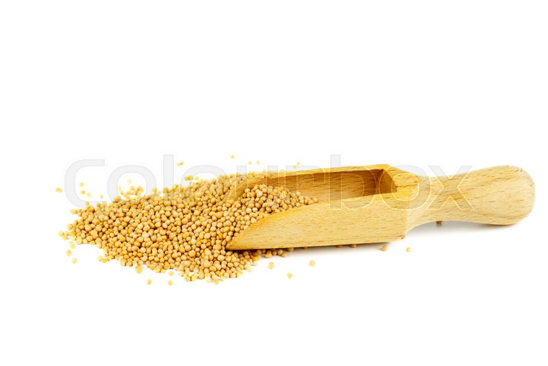 Dry Yellow Mustard