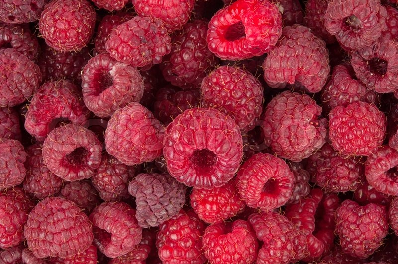 Raspberry | Stock image | Colourbox