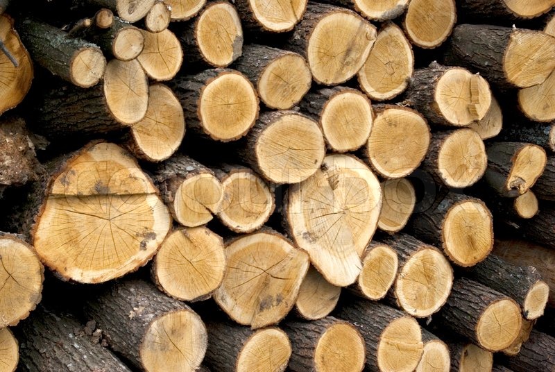 Stacked timber | Stock image | Colourbox