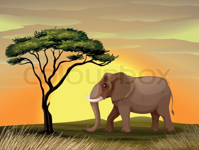 Elephant under a tree | Stock vector | Colourbox