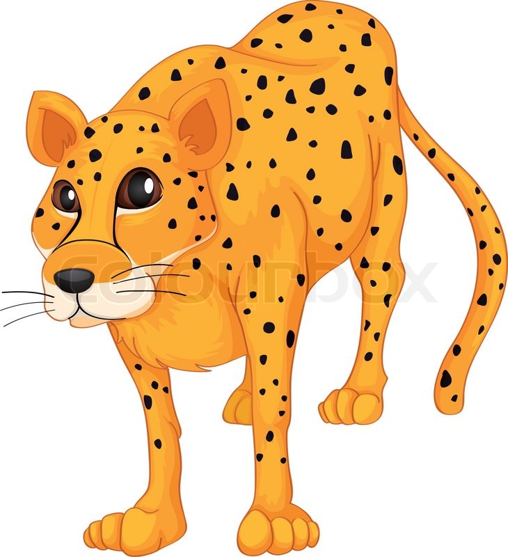 Gepard | Stock vektor | Colourbox