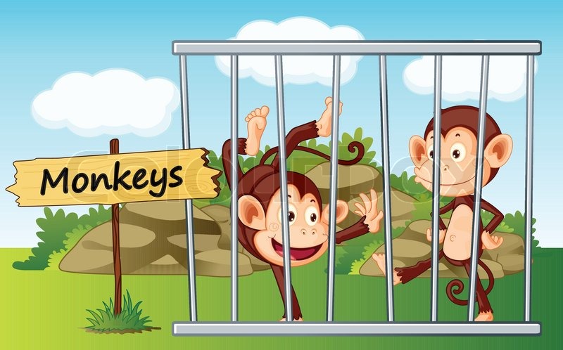 Monkeys in cage | Stock vector | Colourbox