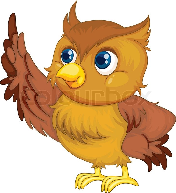 Eule | Stock-Vektor | Colourbox