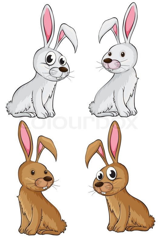 Four rabbits | Stock vector | Colourbox